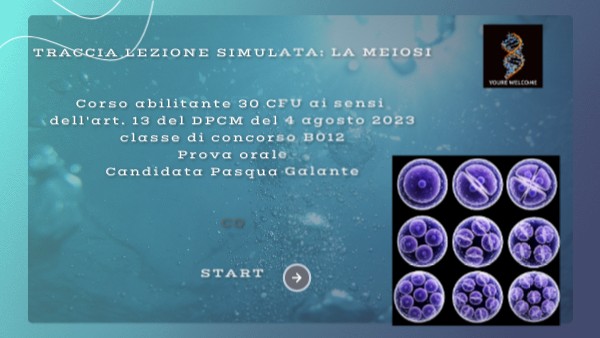 Lezione Simulata-MEIOSI | Genially