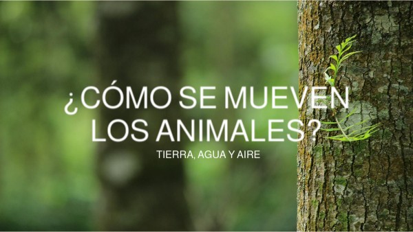 ANIMALES - ¿Cómo se mueven? | Genially