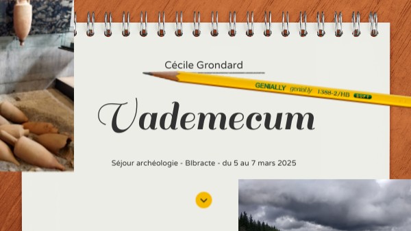 Vademecum | Genially