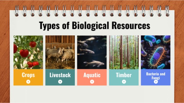 Q4 4.1 Biological Resources | Genially