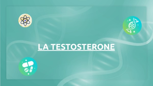 LA TESTOSTERONE | Genially