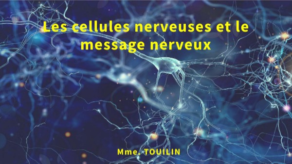 Les cellules nerveuses et le message nerveux | Genially