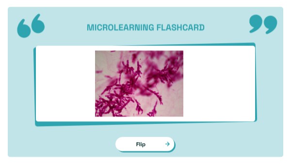 MICROLEARNING FLASHCARD | Genially