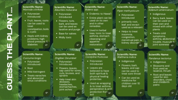 Guess the Plant... | Genially