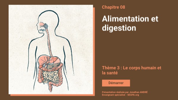 Chapitre 08 - Alimentation et digestion | Genially