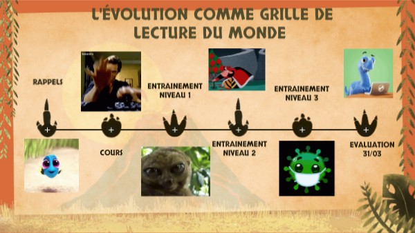 l'évolution comme grille de lecture du monde | Genially