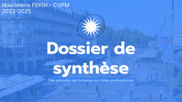 Dossier de synthèse | Genially