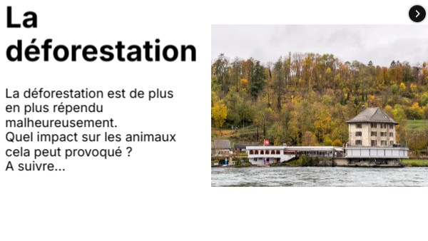 La déforestation | Genially