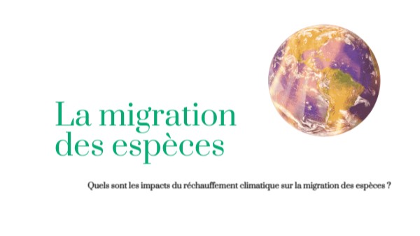 La migration des espèces | Genially