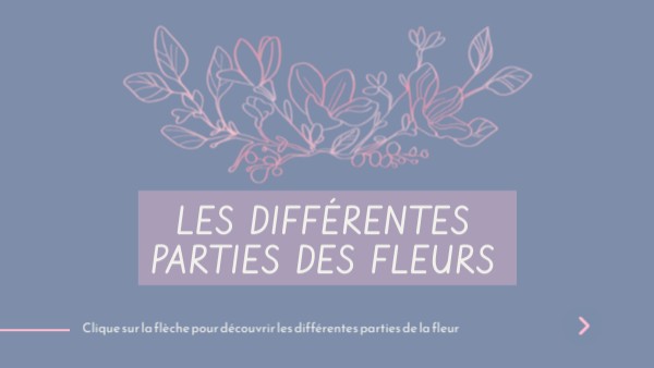 Les différentes parties des fleurs | Genially