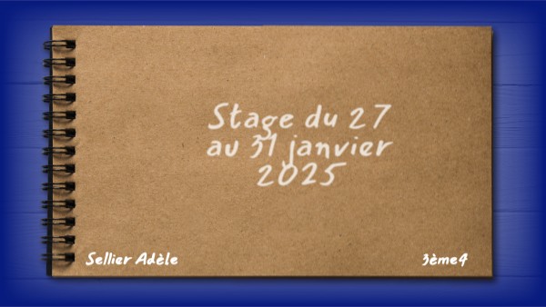Stage du 27 au 31 janvier 2025 | Genially