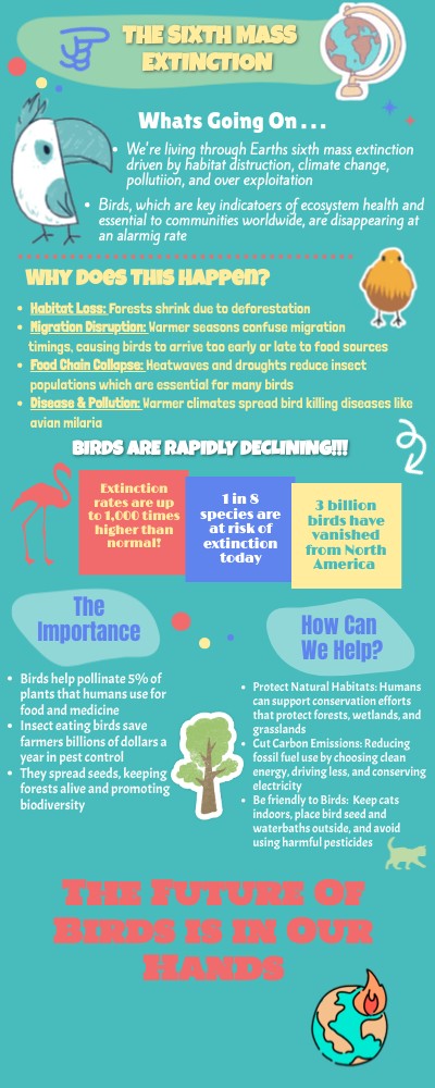 The sixth mass extinction | Genially