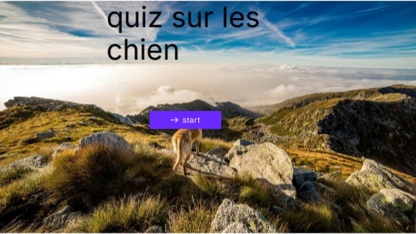 quiz sur les chien | Genially