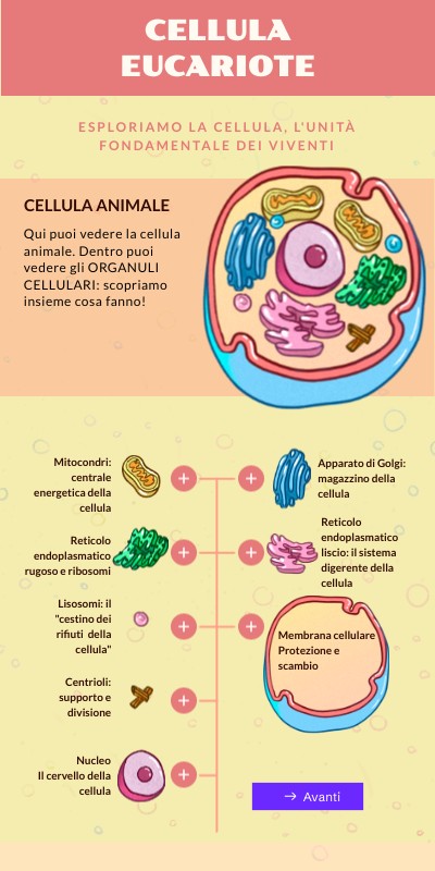 Cellula eucariote_animale e vegetale | Genially