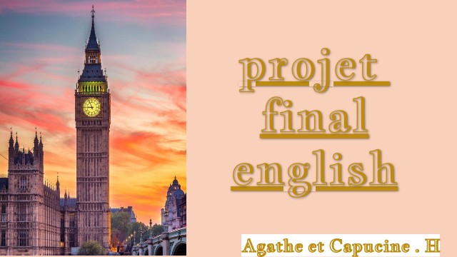 projet final english | Genially