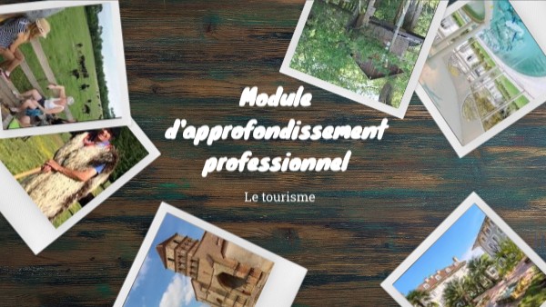 Module d'approfondissement professionnel | Genially
