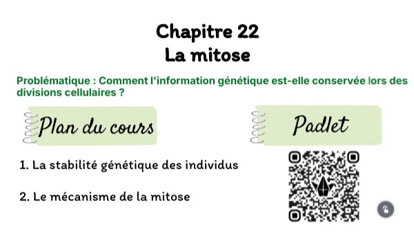 Chapitre 22 - La mitose | Genially