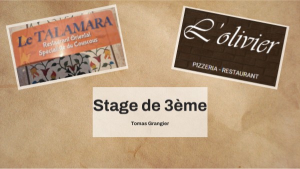 Mon Stage de 3eme | Genially