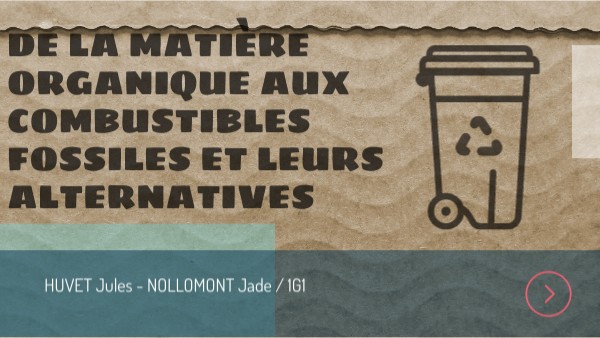 De la matière organique aux combustibles fossiles et leurs alternatives ...