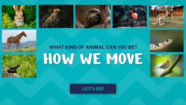 locomotor activities | Genially