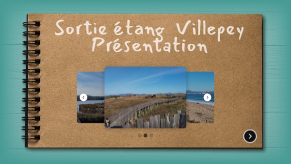 Nous allons à présent vous présenter le déroulement de la journée | Genially