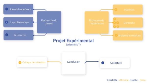 Projet Expérimental | Genially