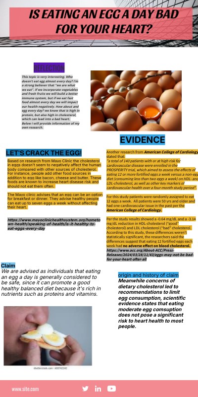 egg project | Genially