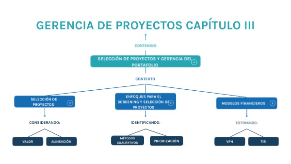GERENCIA DE PROYECTOS CAPÍTULO III | Genially
