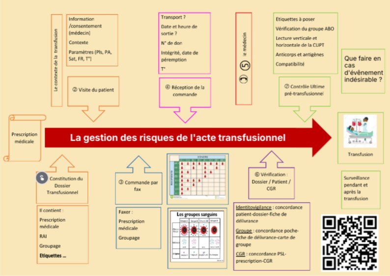 La gestion des risques de l'acte transfusionnel | Genially