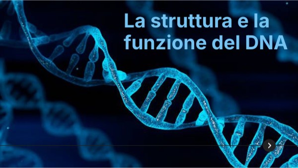 La struttura e la funzione del DNA | Genially