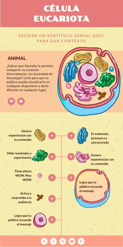 Infografía vertical células | Genially