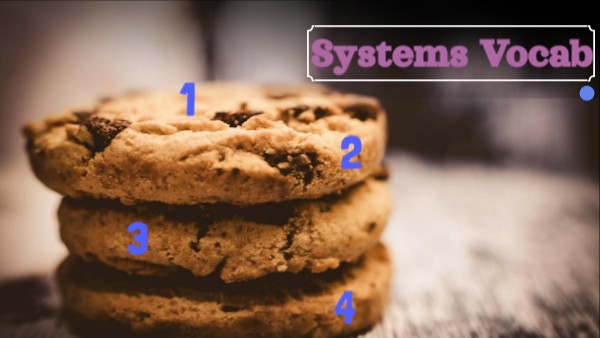 U2-L2 Systems Vocab | Genially