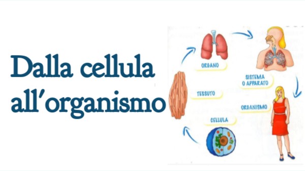 Dalla cellula all'organismo | Genially