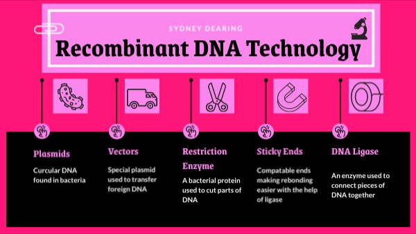 Recombinant DNA Technology | Genially