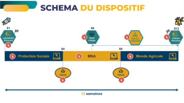 Schéma du dispositif CAP MSA | Genially