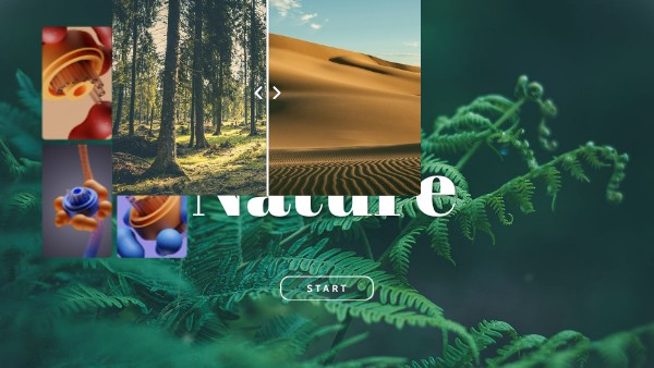 Nature Presentation | Genially