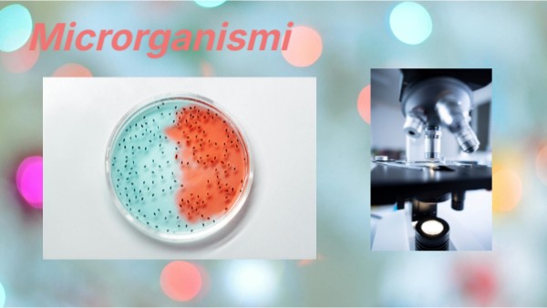 Microrganismi | Genially