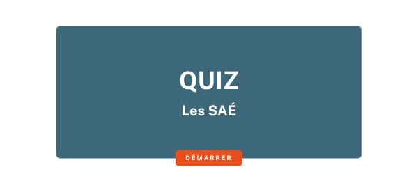 QUIZ_SAÉ | Genially