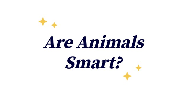 Are Animals Smart? | Genially