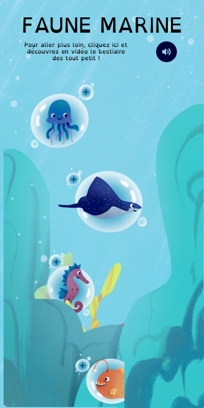 FAUNE MARINE | Genially