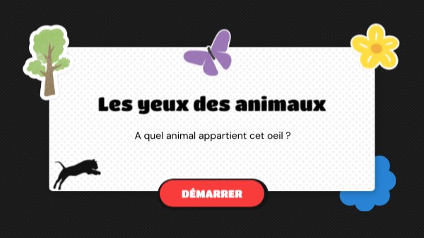 Les yeux des animaux | Genially