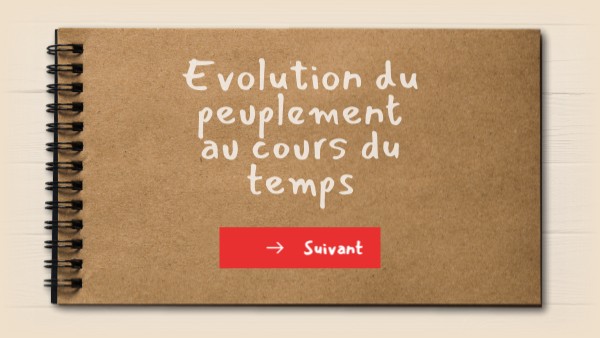 Evolution du peuplement au cours du temps | Genially