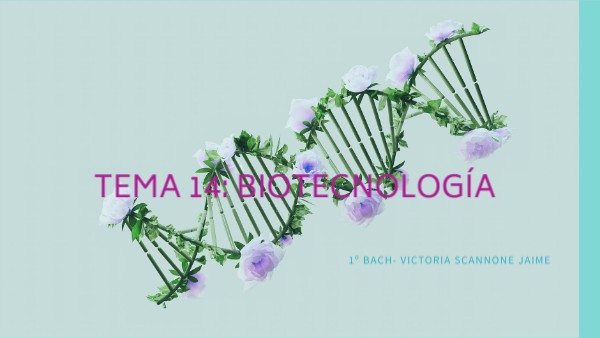 Tema 14 1º bach | Genially