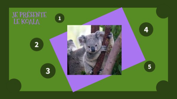 je présente le Koala | Genially