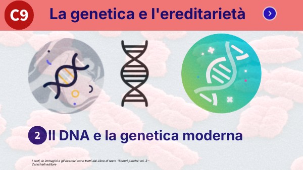 2-DNA-genetica moderna | Genially