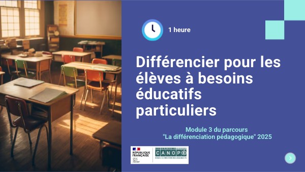 Module 3 VDPAF 2025 | Genially