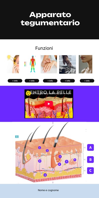 Apparato tegumentario | Genially