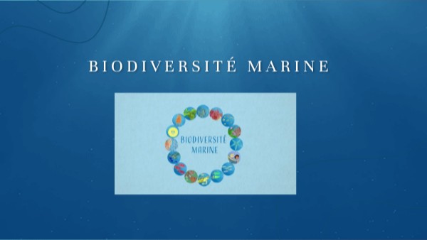 BIODIVERSITÉ MARINE | Genially