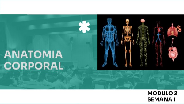 ANATOMIA CORPORAL | Genially