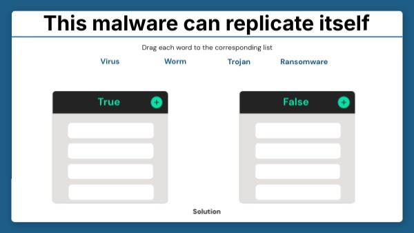 Malware true or false | Genially